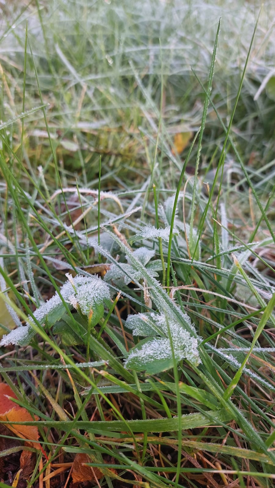 Winter is coming! - INSIDER