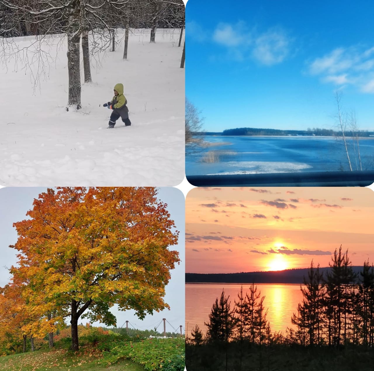 Transformation of Nature - INSIDER