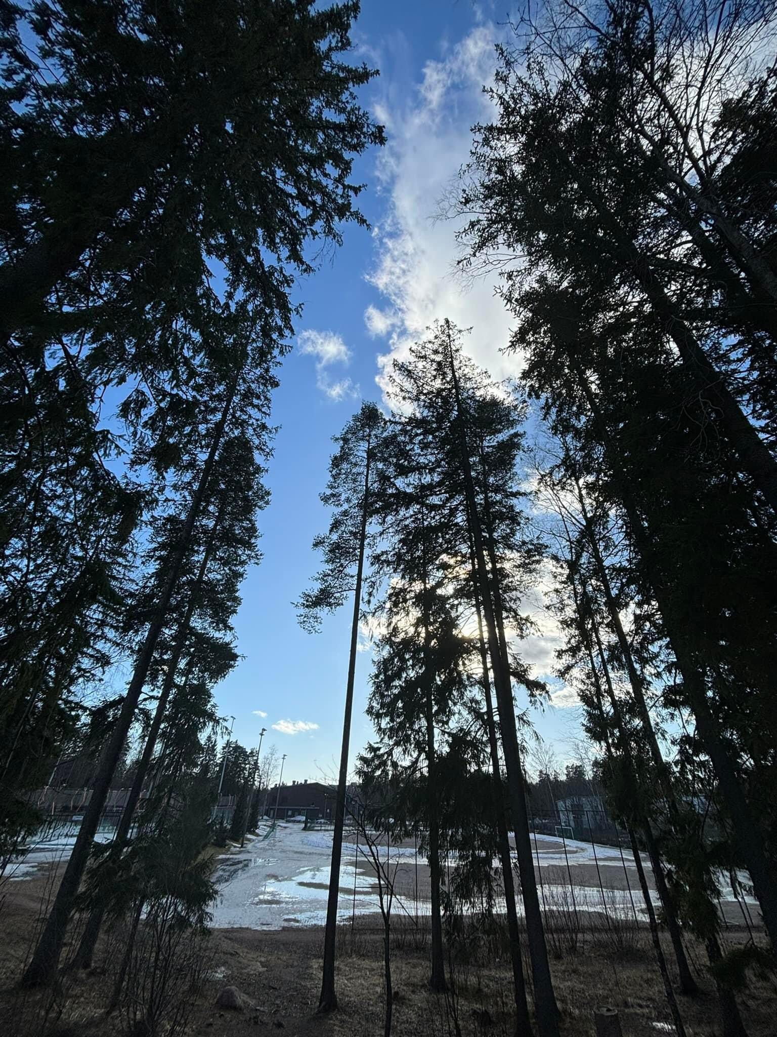 The end of an academic year – Rest, Relax and Reload! - INSIDER